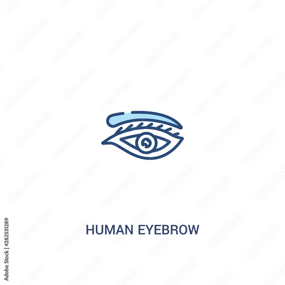 human eyebrow concept 2 colored icon. simple line element illustration ...