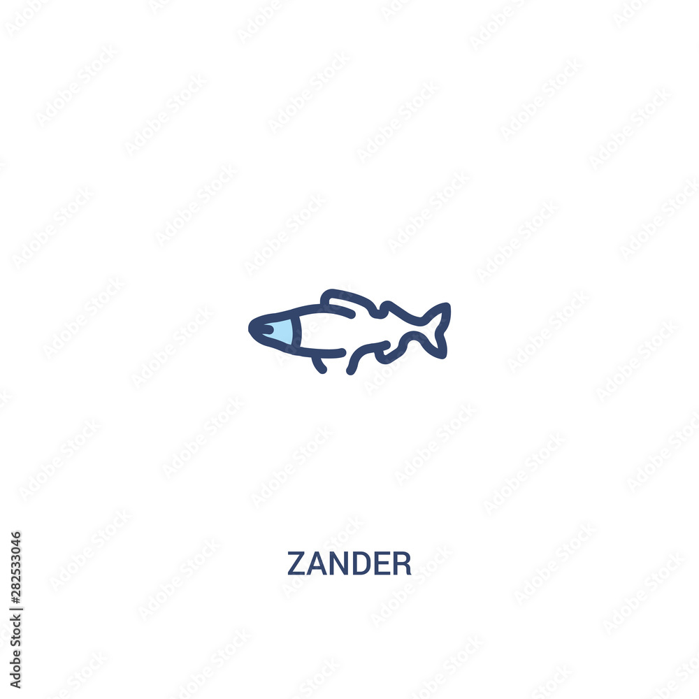zander concept 2 colored icon. simple line element illustration. outline blue zander symbol. can ...