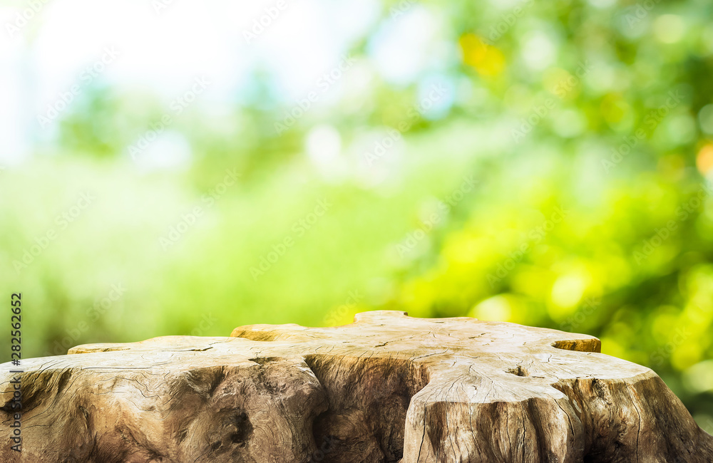 Beautiful texture of old tree stump table top on blur green garden farm ...