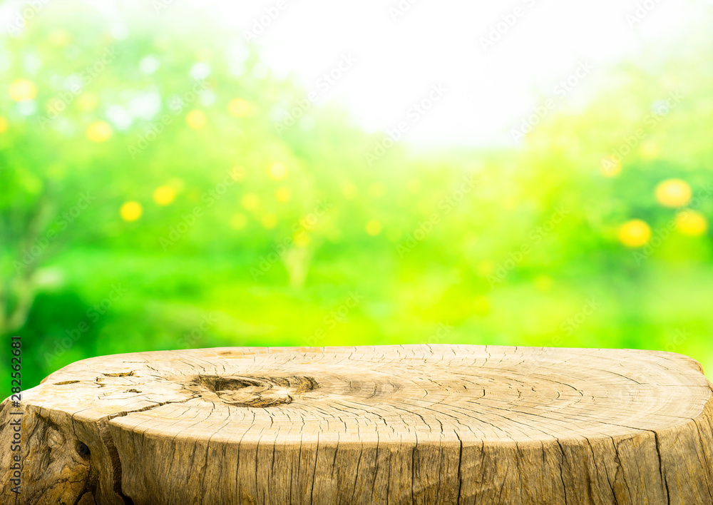 Beautiful texture of old tree stump table top on blur fruit garden farm ...