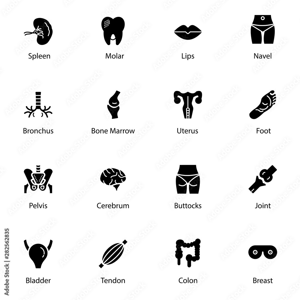 Human Body Solid Icons Pack Stock Illustration | Adobe Stock