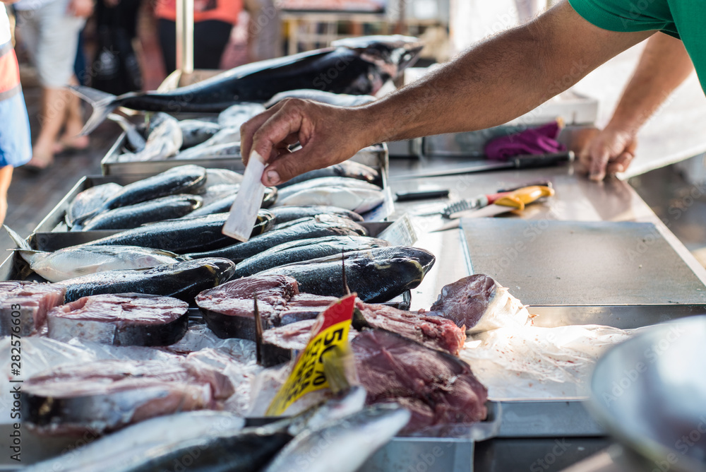 Fresh fish capture at traditional food market Stock Photo | Adobe Stock