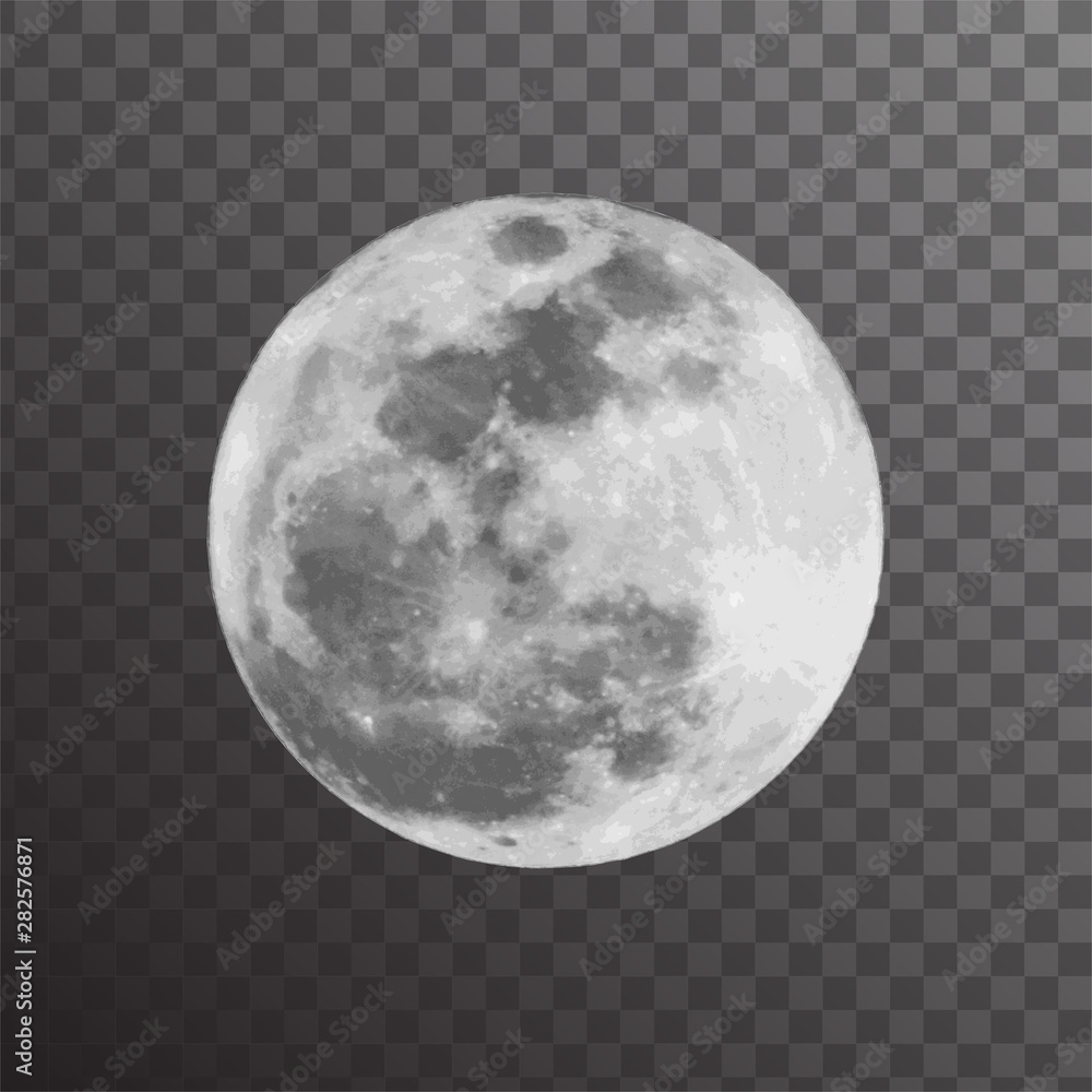 Realistic vector illustration of gray full moon Stock Vector | Adobe Stock