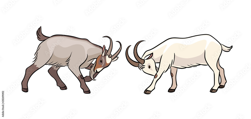 Butting goats - vector illustration Stock Vector | Adobe Stock