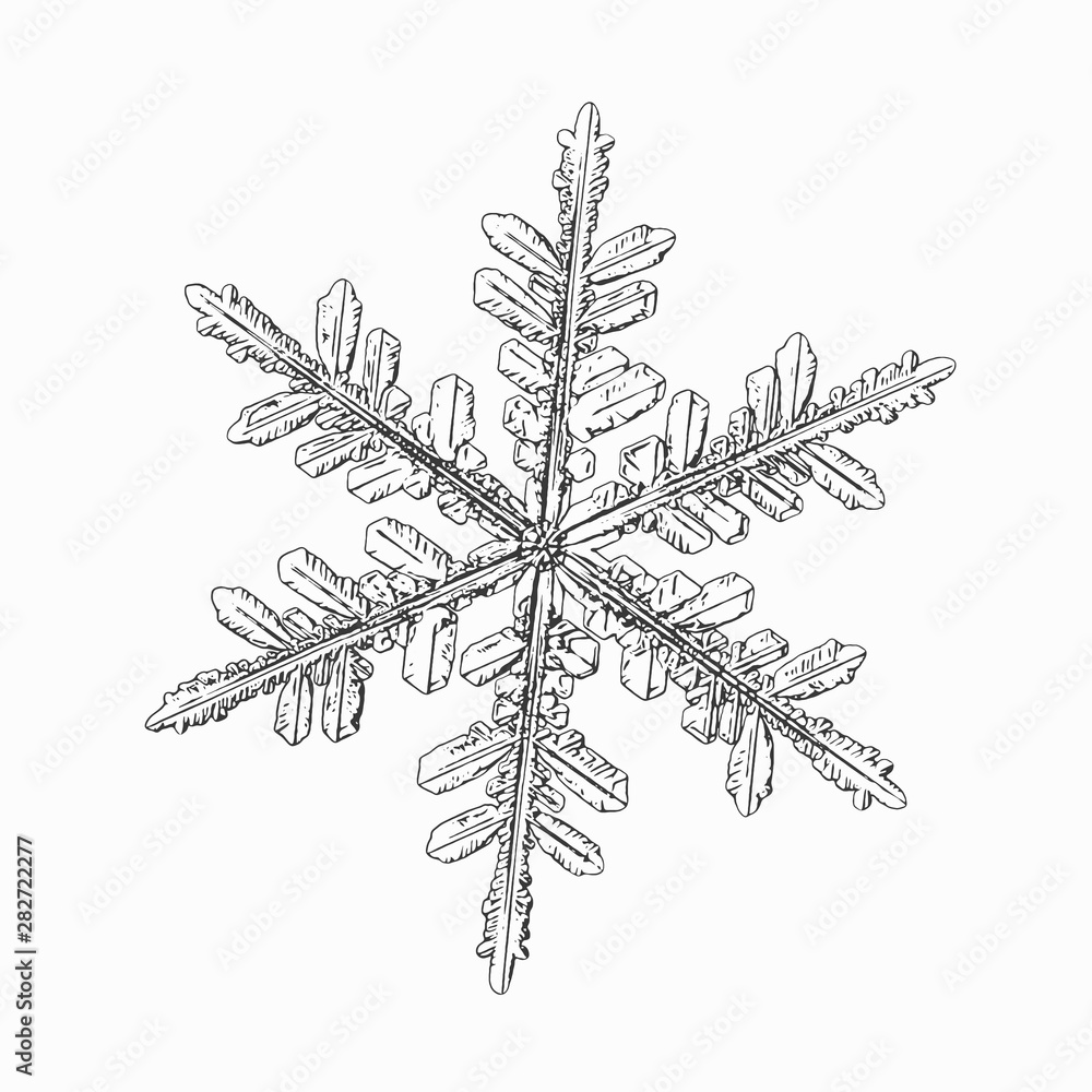 Snowflake isolated on white background. Vector illustration based on ...