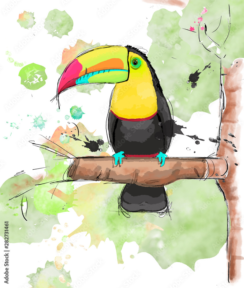 Ilustración digital de un tucán, ave de los bosques tropicales parado ...