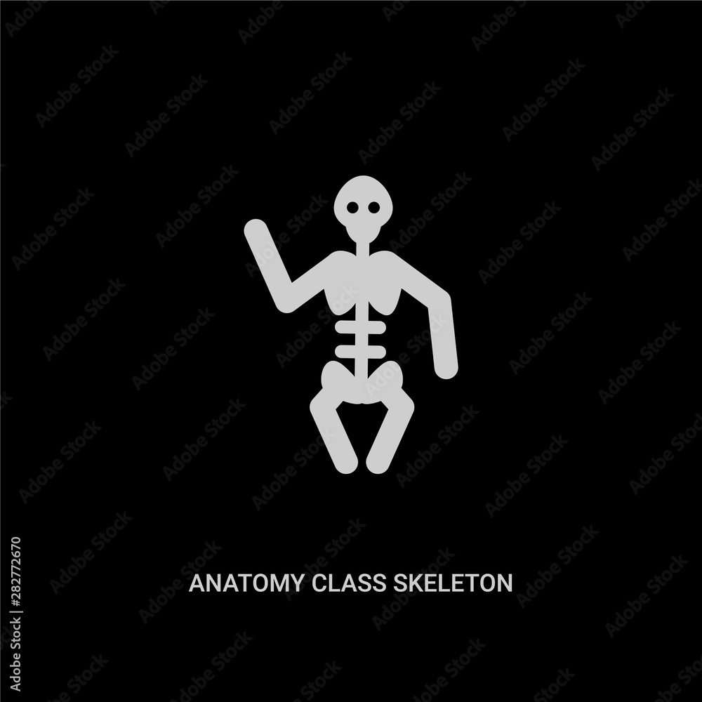 white anatomy class skeleton vector icon on black background. modern ...
