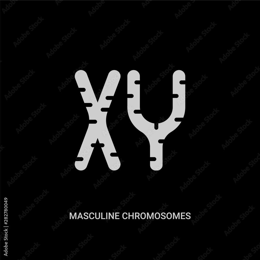 white masculine chromosomes vector icon on black background. modern ...