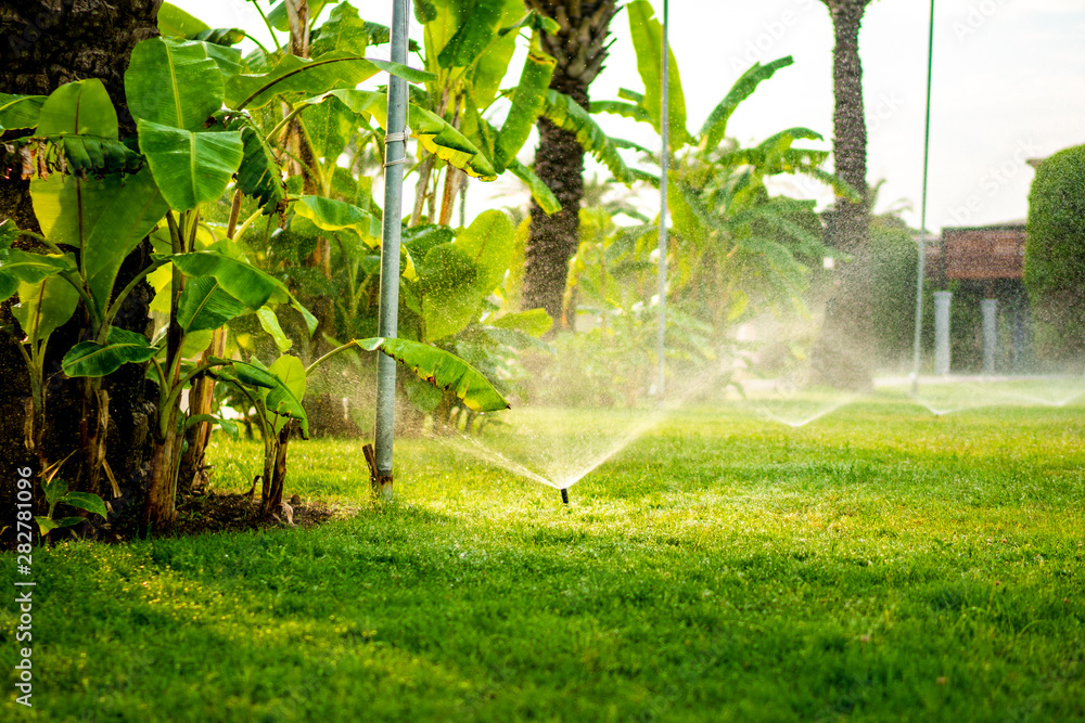 Modern automatic sprinkler working on grass irrigation. Sprinkler ...