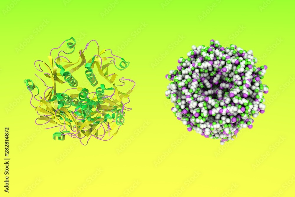 Molecular and crystal structure of typhoid toxin produced by bacterium ...