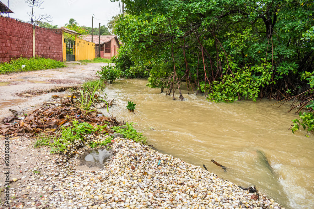 Ilha de Itamaraca, Brazil - Circa July 2019: Mangrove overflowing after ...