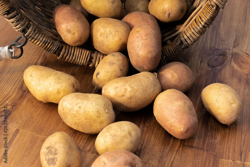 Potato tubers spilled from a wicker wooden basket lying on its side ...