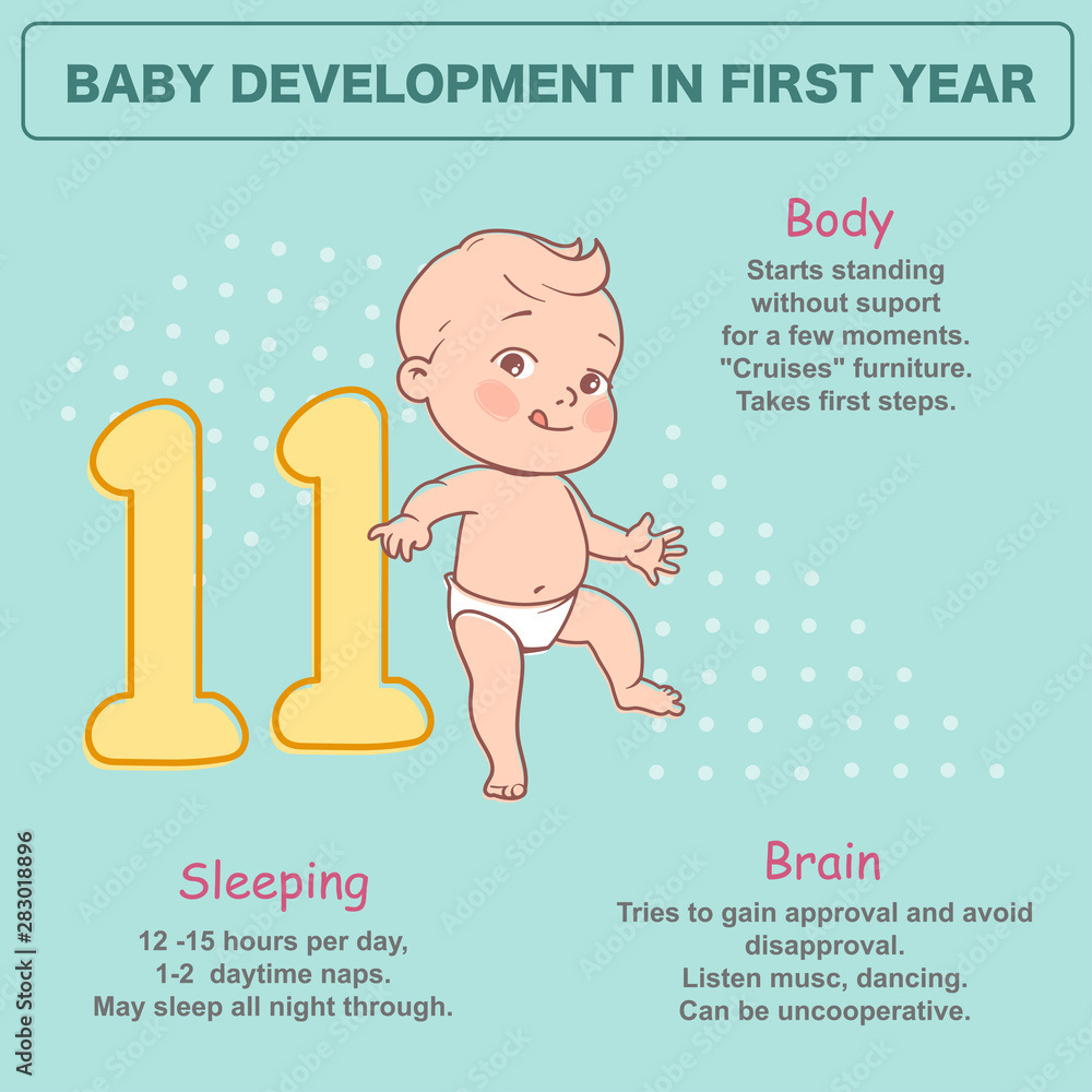 Vetor de Little baby of 11 months. Physical, emotional development ...