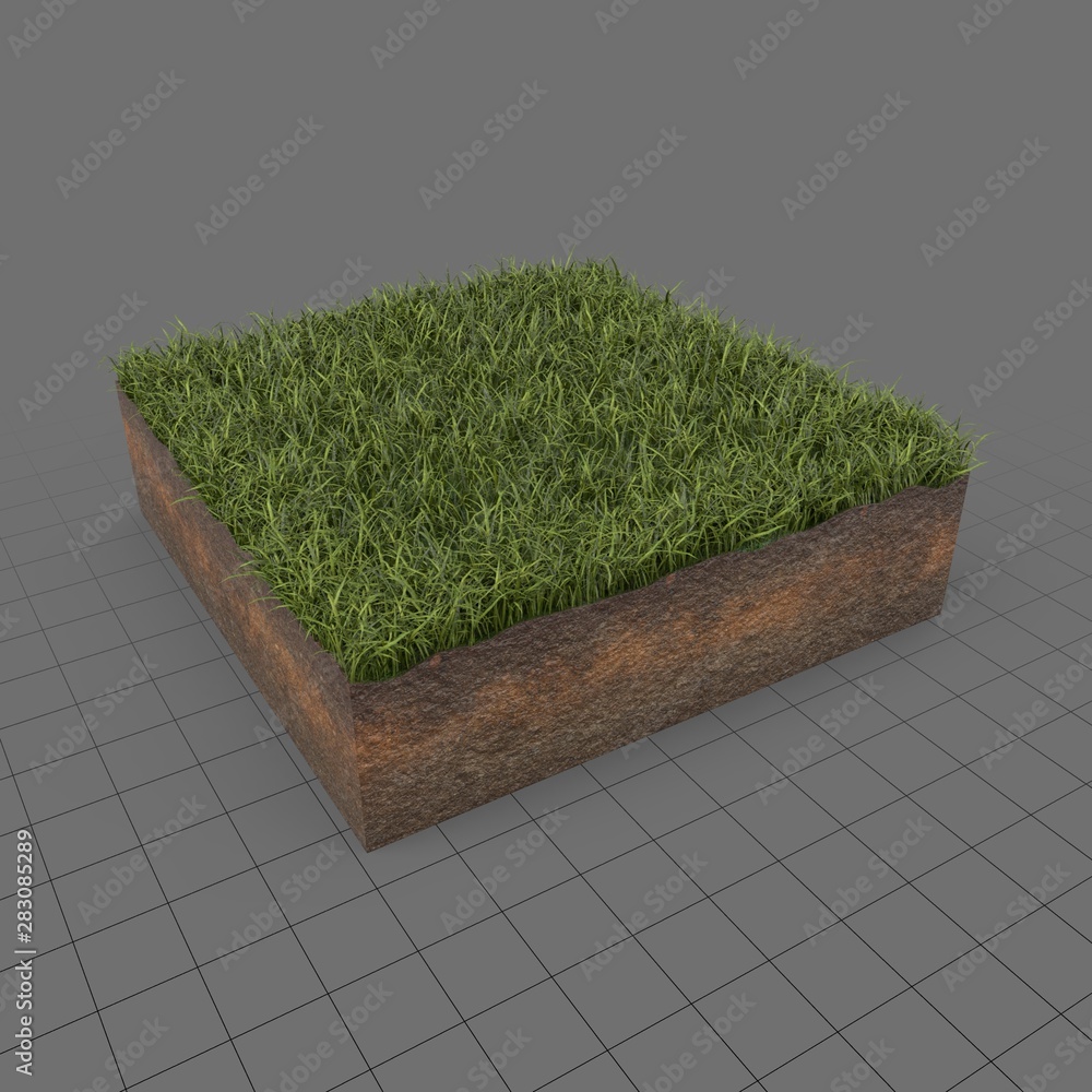 Grass cross section 4 Stock 3D asset | Adobe Stock