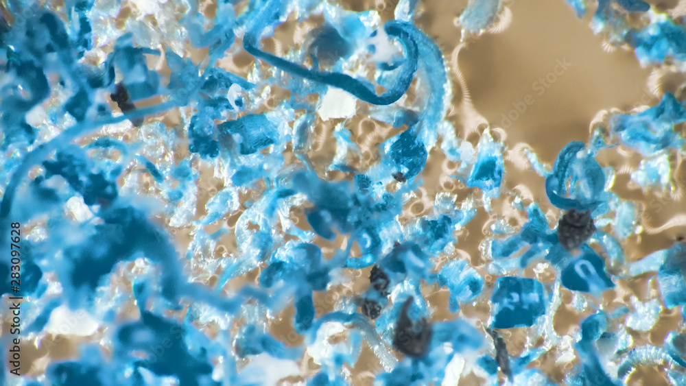 shooting of small and micro plastic pieces in water environment. Stock ...