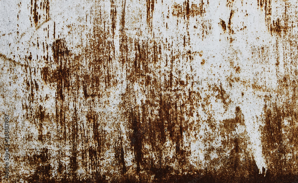 Rusted white painted metal wall. The metal surface rusted spots. Rysty ...