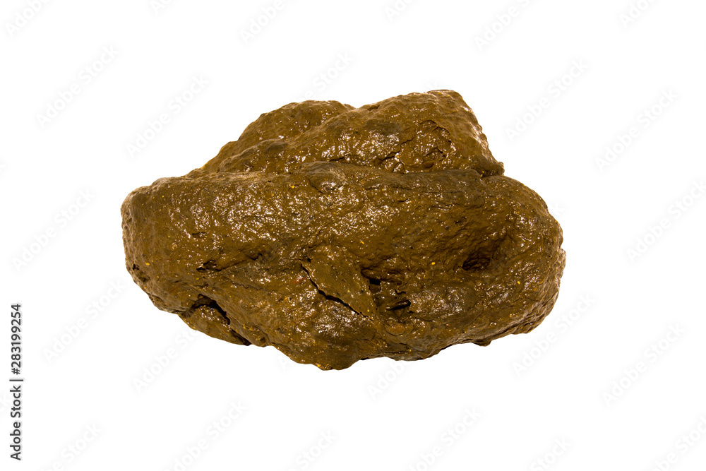 Poop isolated on white background.Shit on a white background.Human ...