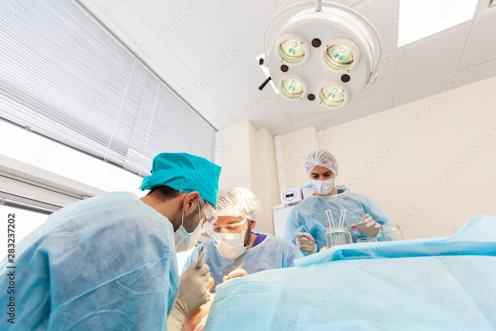 Baldness treatment. Hair transplant. Surgeons in the operating room ...