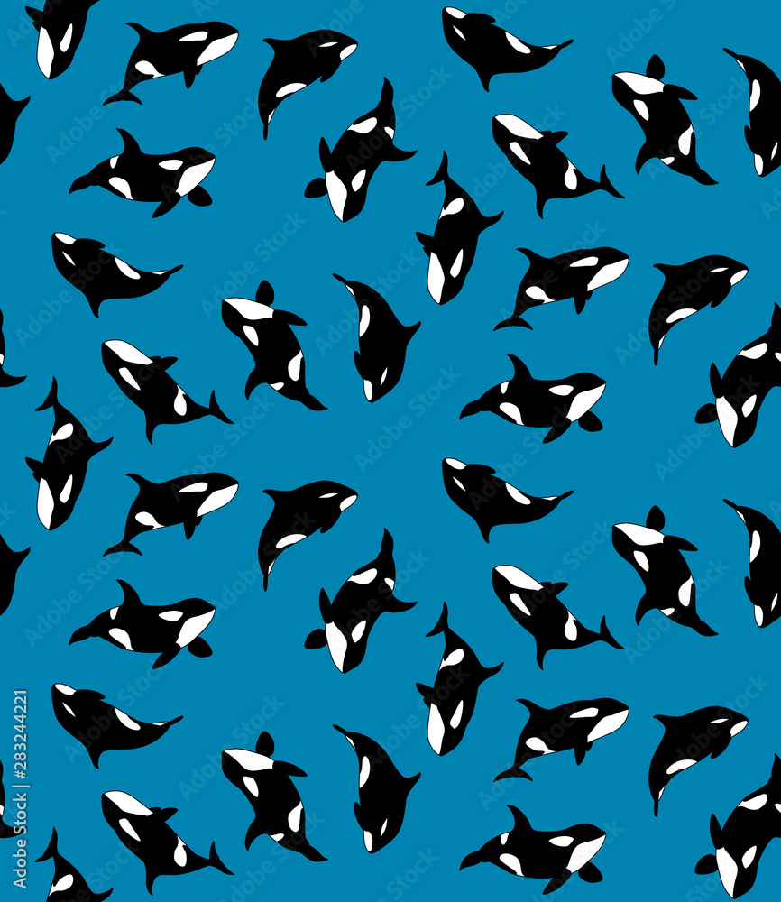 Vector seamless pattern of hand drawn killer whale swimming on blue ...