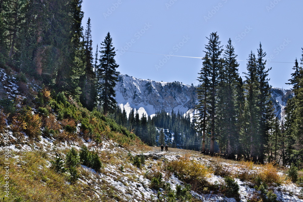 Hiking in season's first snow in the Wasatch Mountains Stock Photo ...