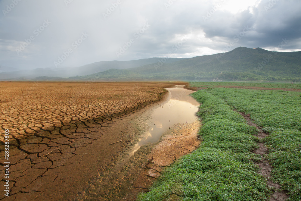 Green grass growing on the dry land after has rain fall Metaphor Nature ...