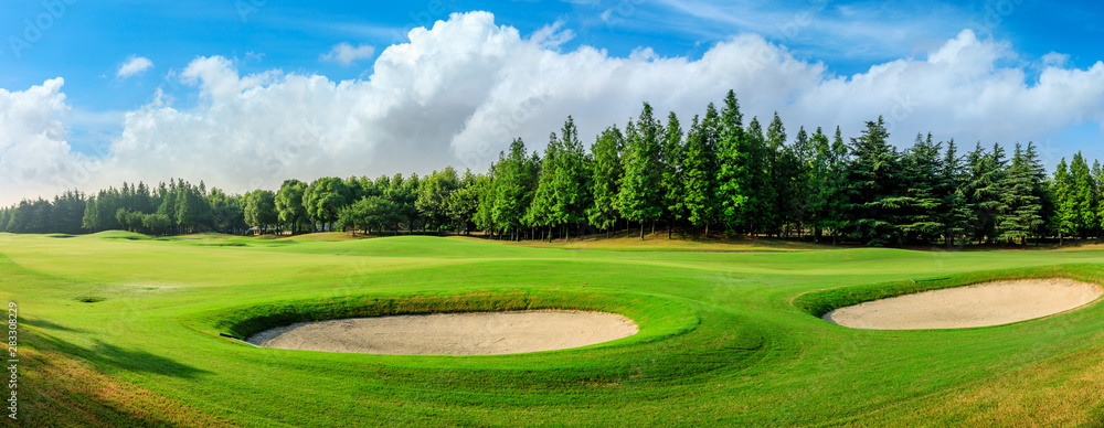 Green grass and woods on a golf field Stock Photo | Adobe Stock
