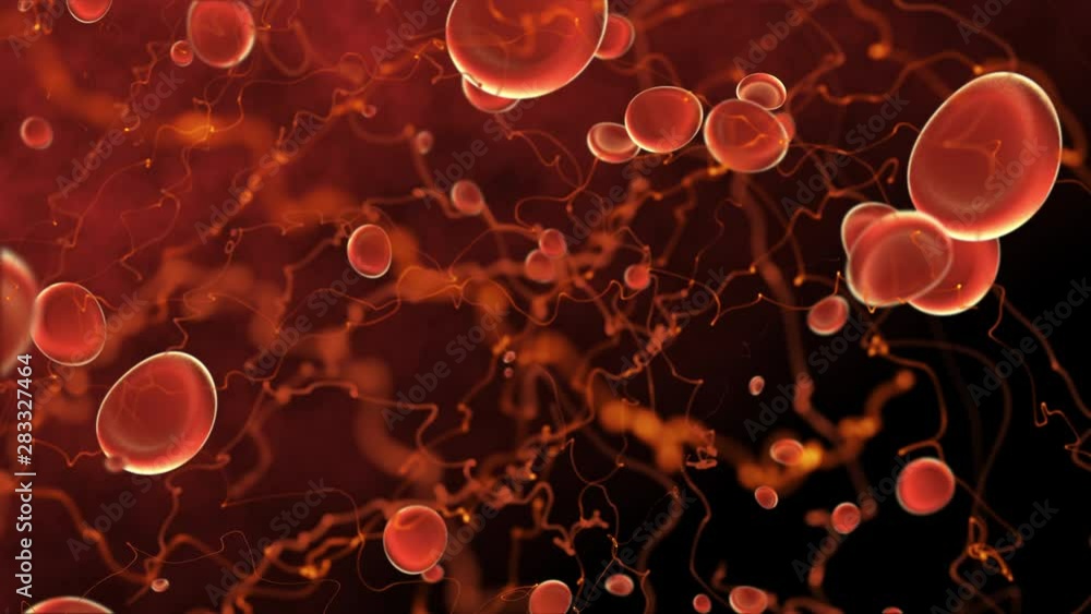 Bacteria, virus Red blood cells clot, traveling through a vein blood ...