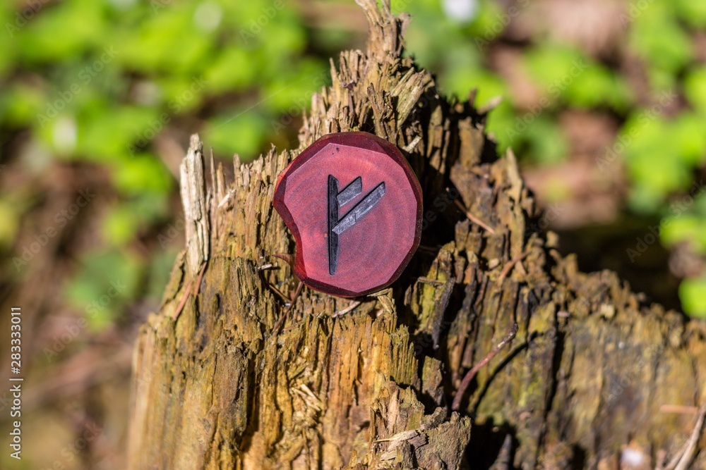 Rune Fehu carved from wood on an old stump - Elder Futhark Stock Photo ...