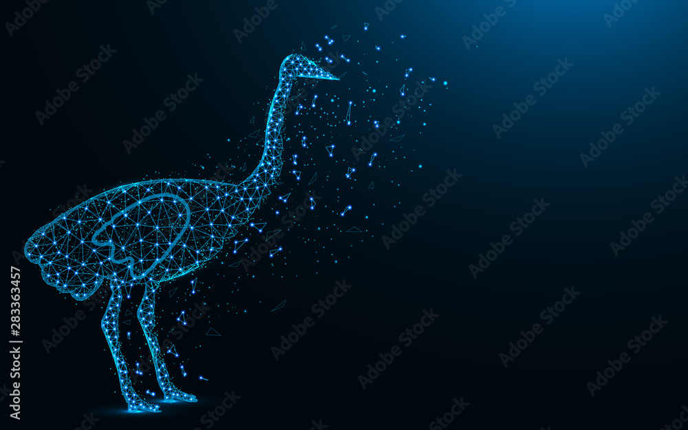 Ostrich low poly design, African animal abstract geometric image, bird ...