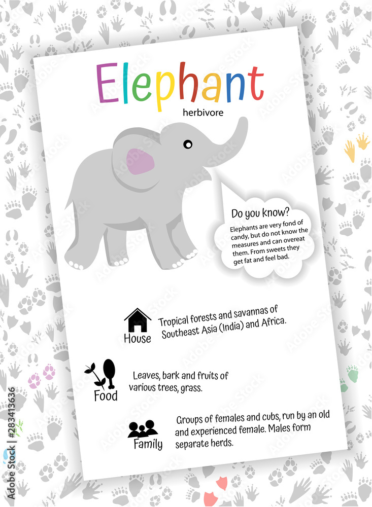 Cartoon elephant on background of animal tracks. Educational flash ...