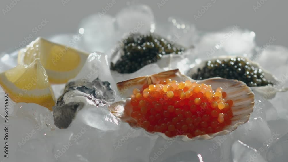 Vidéo Stock Black Granular Sturgeon Caviar in Oyster. Sturgeon Fish ...