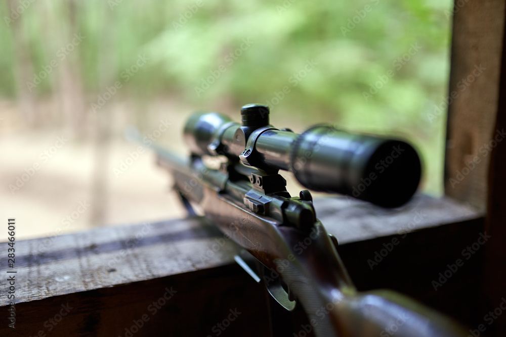 Hunting rifle with scope Stock Photo | Adobe Stock
