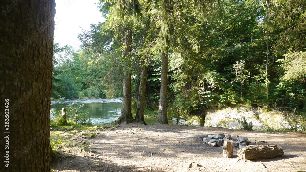 Wald Stock Photo | Adobe Stock