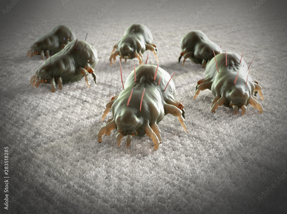 house dust mite 3d render Stock Illustration | Adobe Stock