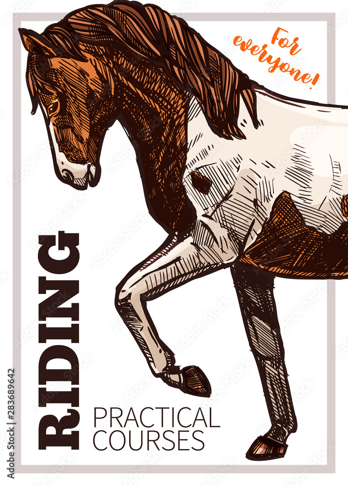 Design for horse riding poster with hand drawn horse. Sketch ...
