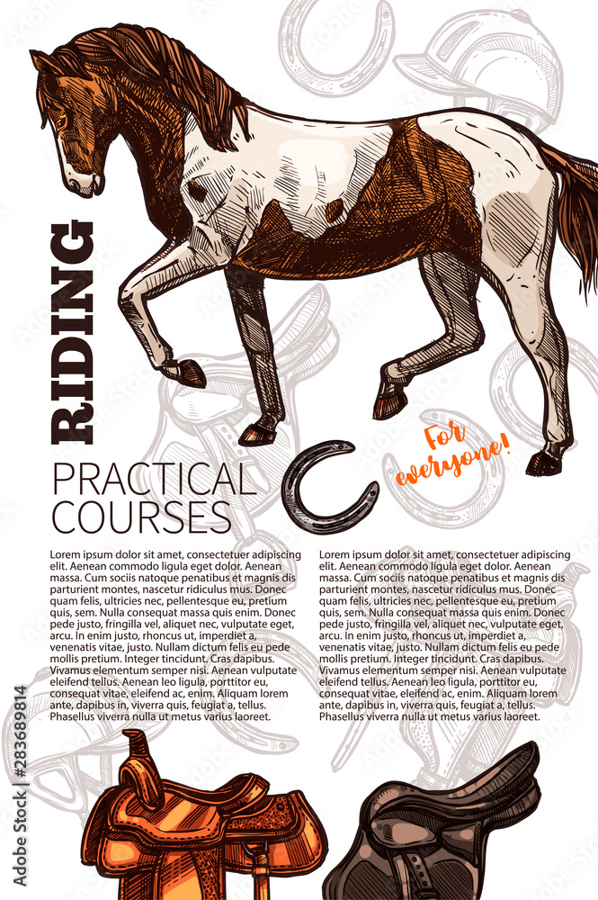 Vector template for horse riding poster with hand drawn horse. Design ...