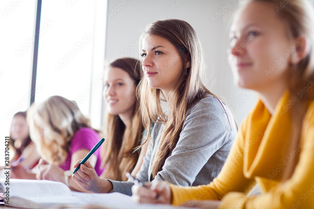 College students in classroom during class, paying attention to the ...