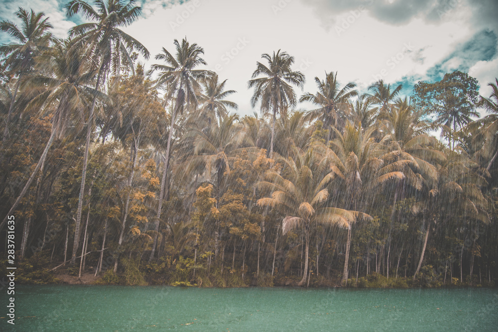 Bohol jungle, tarsier and chocolate hills, in Cebu, Philippines Stock ...