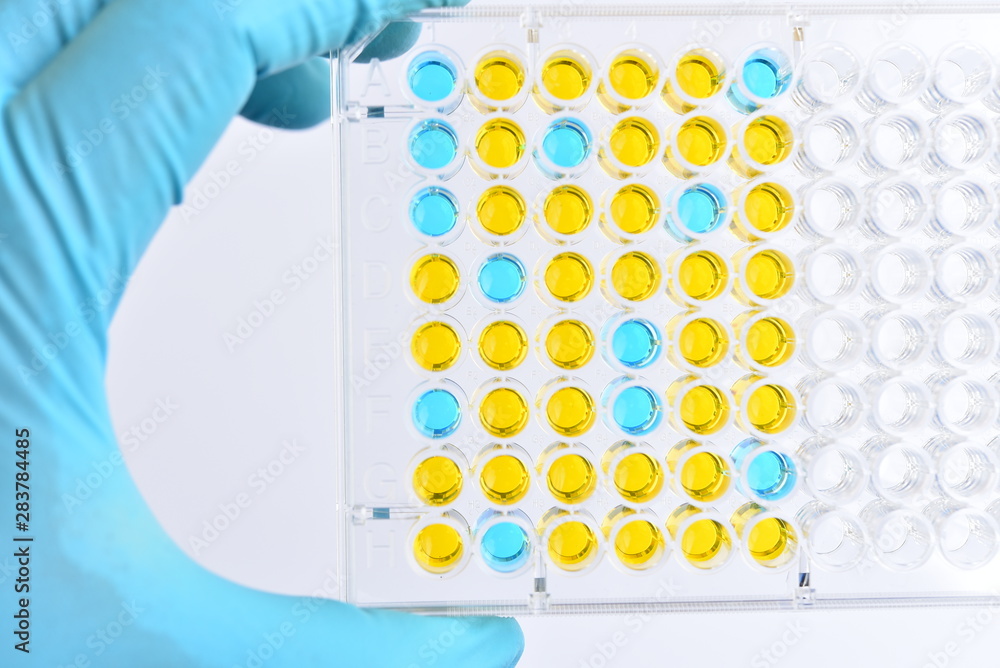 Foto de Enzyme-linked immunosorbent assay or ELISA plate, Immunology ...