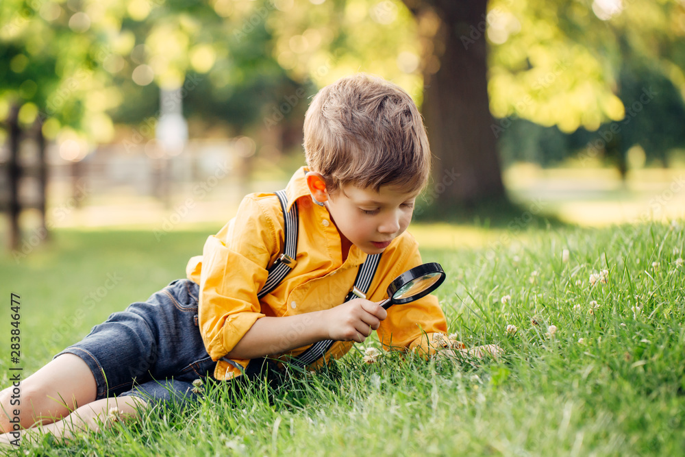 Cute adorable Caucasian boy looking at plants grass flowers in park ...