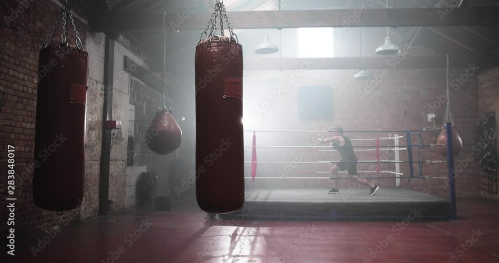 Adult male boxer stepping into the ring Stock Video | Adobe Stock