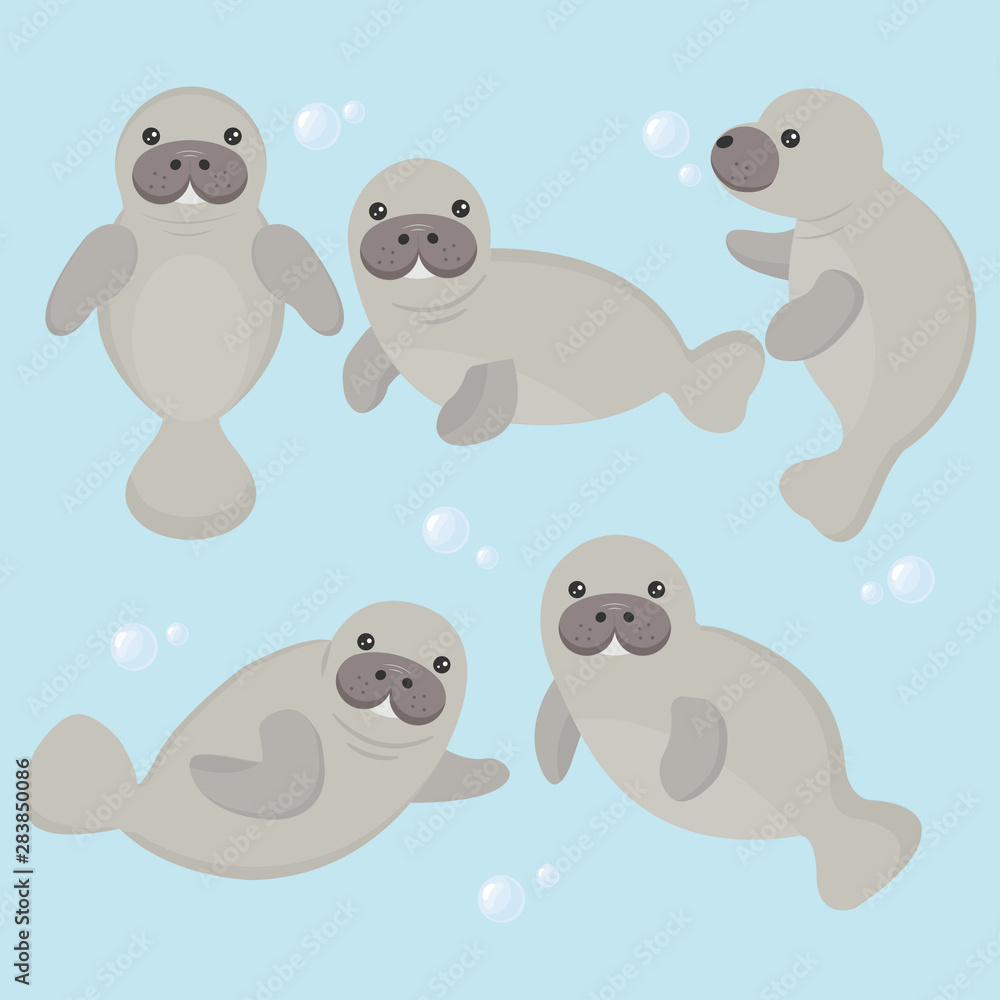 Cute cartoon manatee. Stock Vector | Adobe Stock