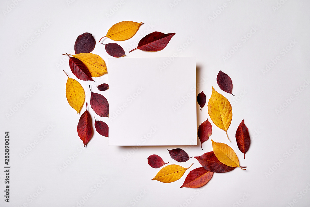 Autumn composition. Frame made of blank paper and leaves on white ...