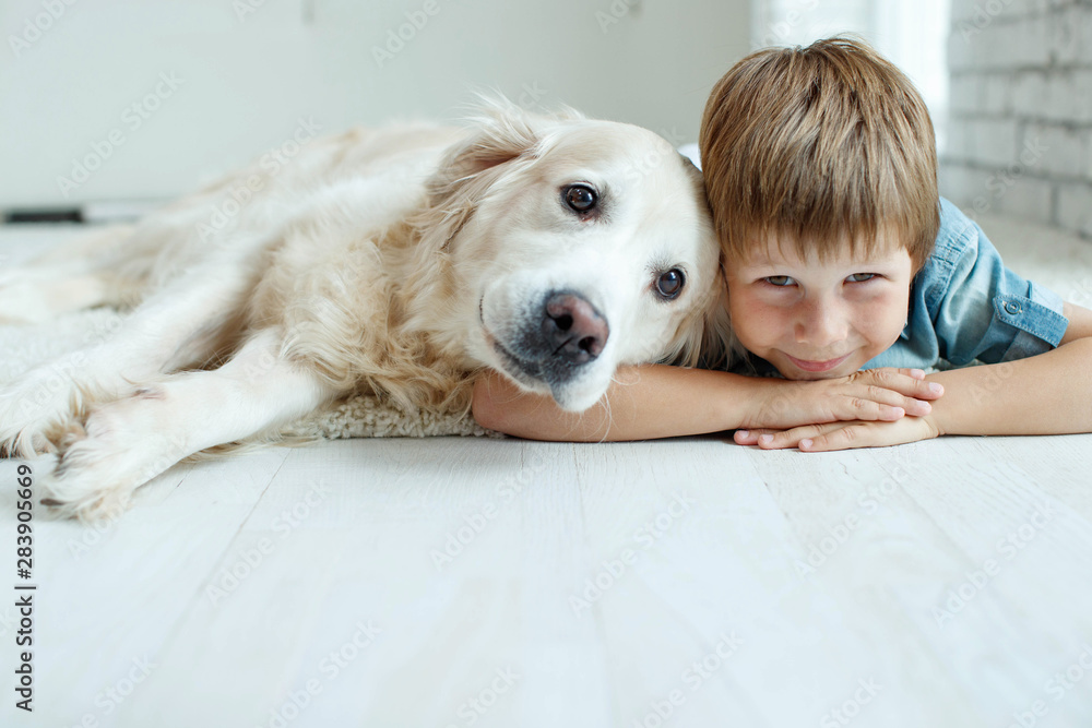 A child with a dog. Little boy with a dog at home. Stock Photo | Adobe ...