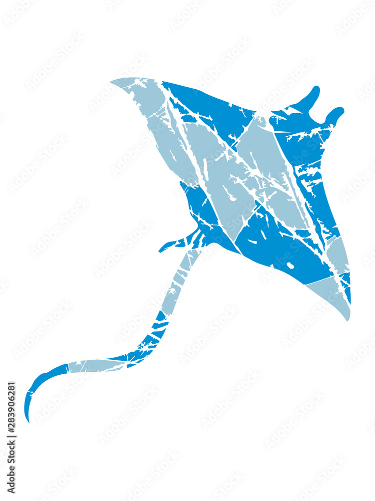 risse kratzer used stachelrochen schwimmen tauchen silhouette umriss ...