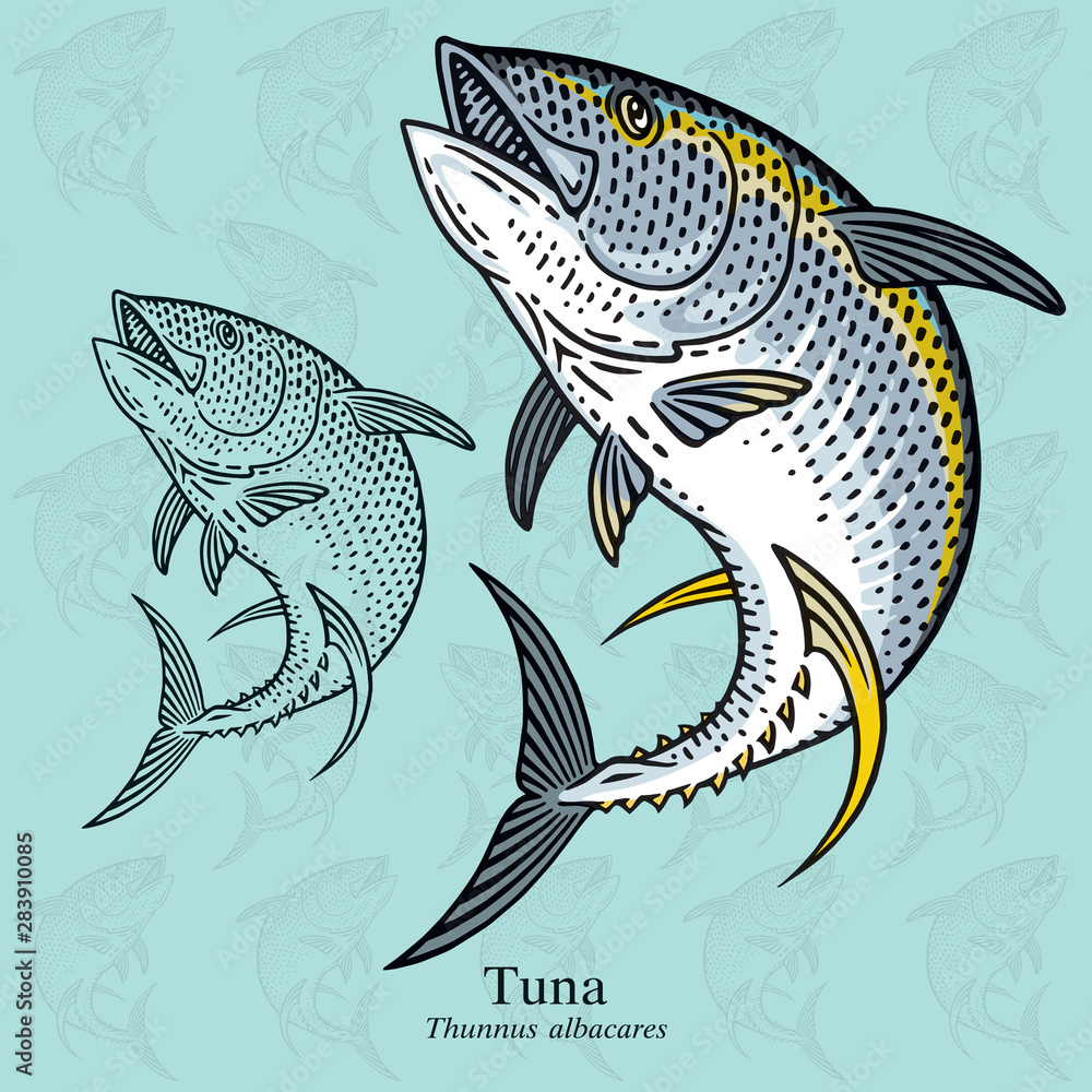 Jumping Tuna. Vector illustration with refined details and optimized ...