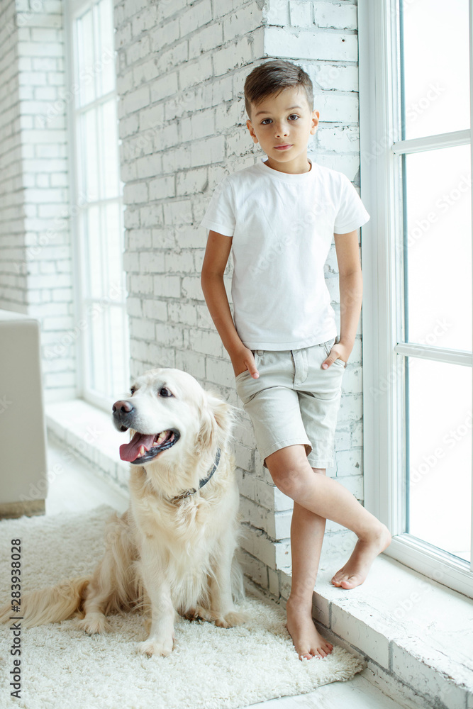 A child with a dog. Teen boy with a dog at home. Stock Photo | Adobe Stock
