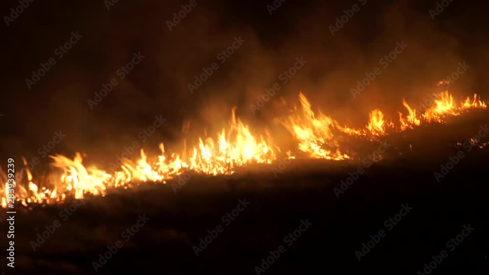 A large fire moves quickly through a dry thatched area. Ecological ...