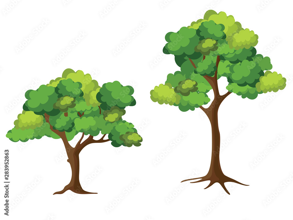 Collection of trees on white background. Cartoon of trees. Stock Vector ...