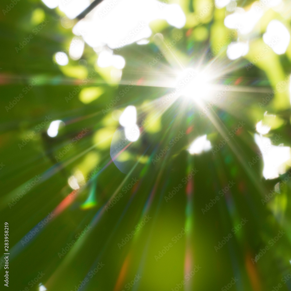 Spectrum of the visible sunlight, the rays of light are in the colors ...